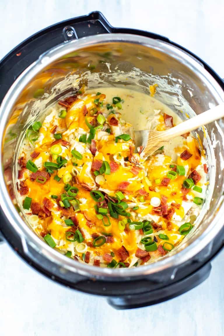 30 Best Kid-Friendly Instant Pot Dinners - Eating Instantly